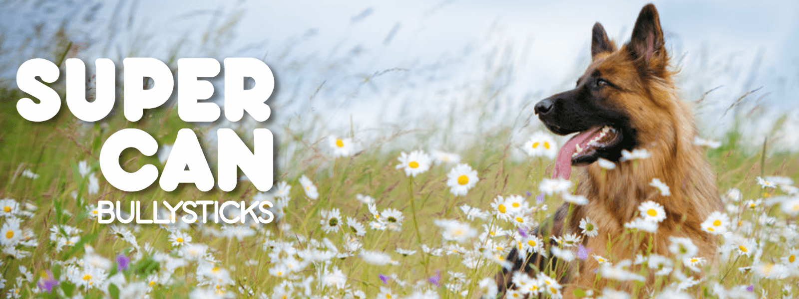Manchester Pet Supplies - Manchester Pet Supplies
